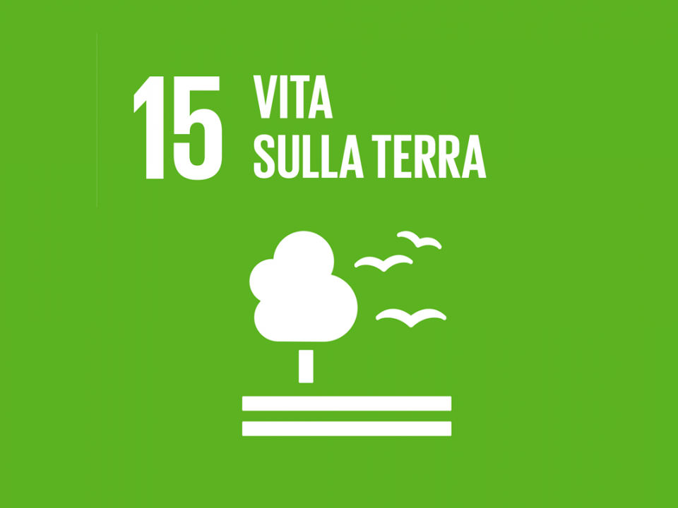 Agenda 2030, Obiettivo 16: pace, giustizia e istituzioni solide ... Agenda 2030, Obiettivo 16: pace, giustizia e istituzioni solide ...